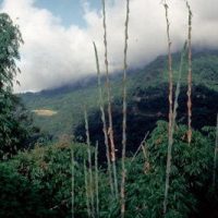 Who Owns the World’s Land? - ICCA Consortium