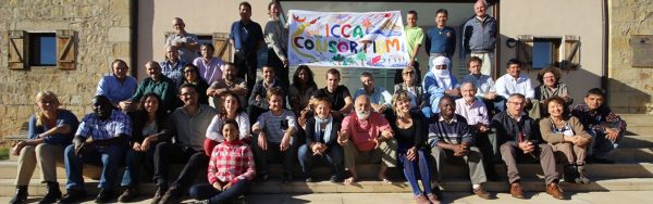 A movement... that became an International Association - ICCA Consortium