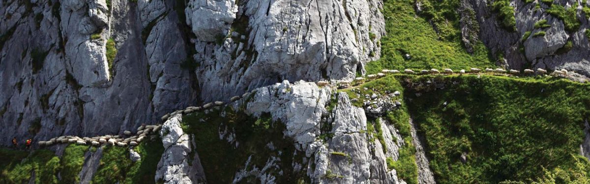 Enhancing self-awareness - ICCA Consortium