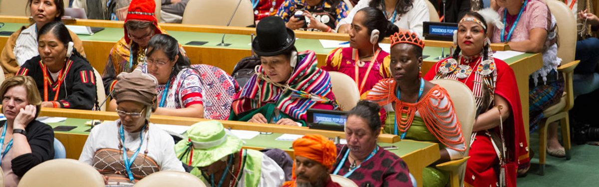 ICCAs in international policy - ICCA Consortium