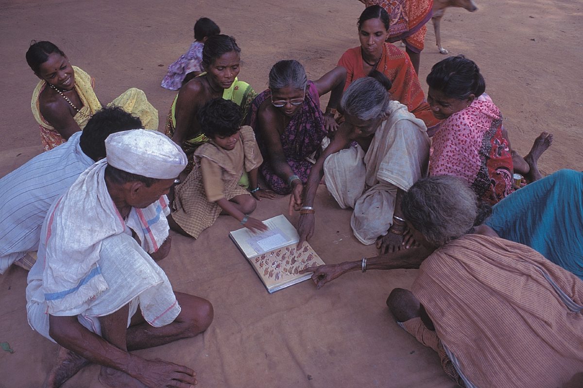 The forest of Mendha-Lekha - ICCA in Maharashtra, India - ICCA Consortium