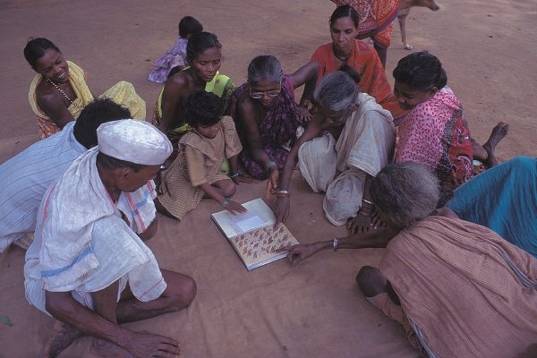 The forest of Mendha-Lekha - ICCA in Maharashtra, India - ICCA Consortium
