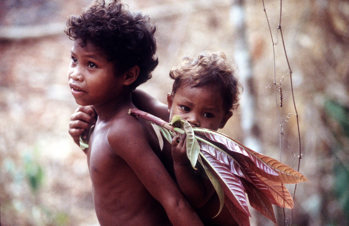 The Tanabag Batak ICCA on Palawan Island - ICCA Consortium