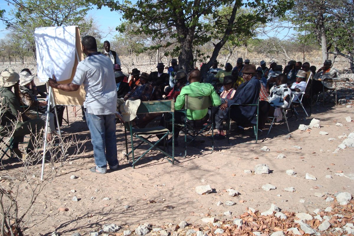 Collective Land Ownership in the 21st Century: Overview of Global ...