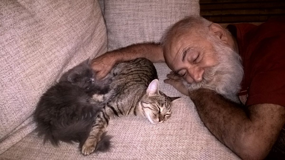 Dr. Mohammad Taghi Farvar – President of the ICCA Consortium - ICCA ...