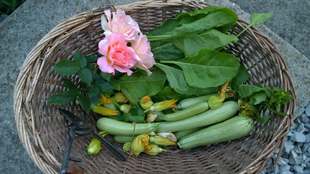 Dr. Mohammad Taghi Farvar – President of the ICCA Consortium - ICCA ...