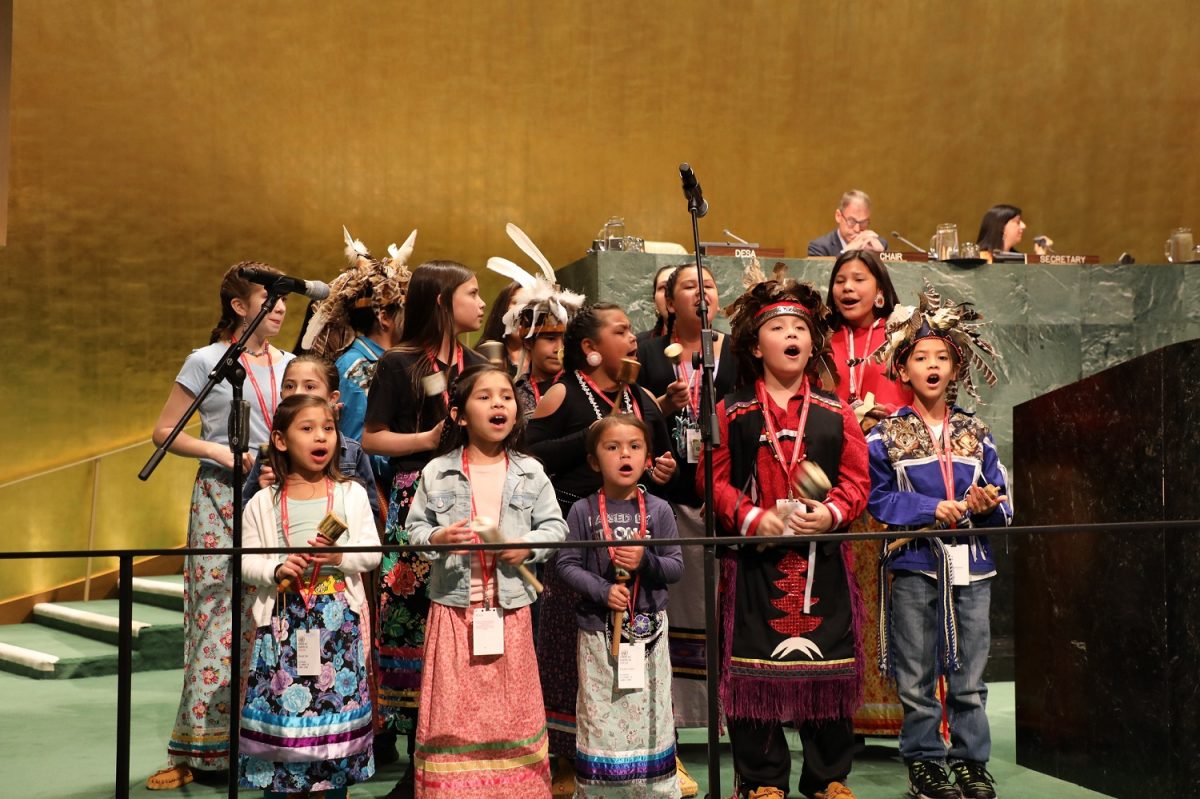 The ICCA Consortium at the UNPFII 2019 - ICCA Consortium