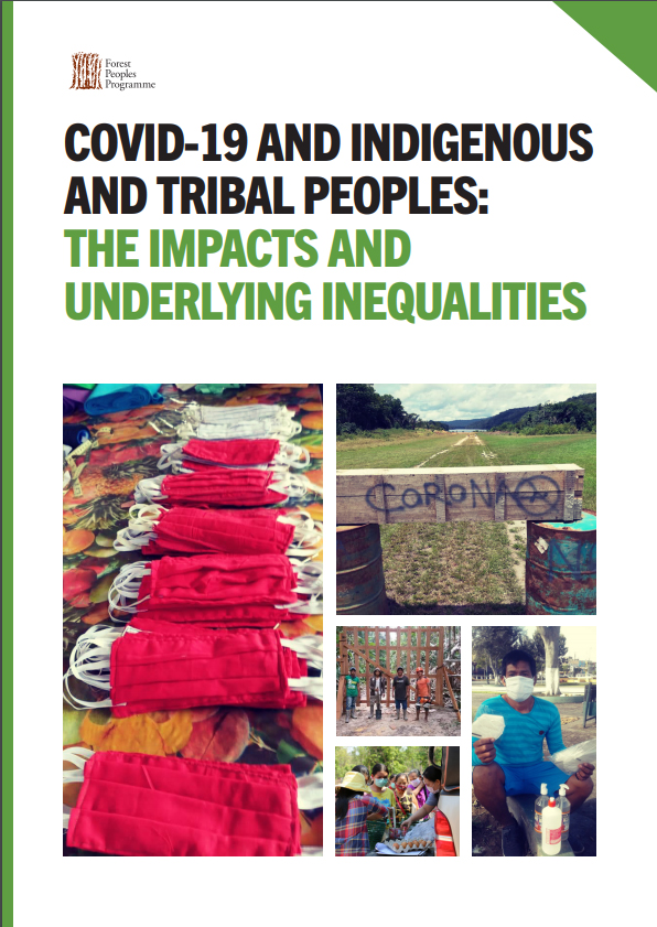 COVID-19 and inequality: New report analyses impacts on Indigenous ...