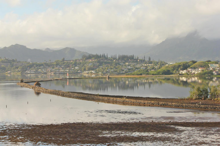 Loko I'a fishponds, story of Hawai'i communities restoring fisheries ...