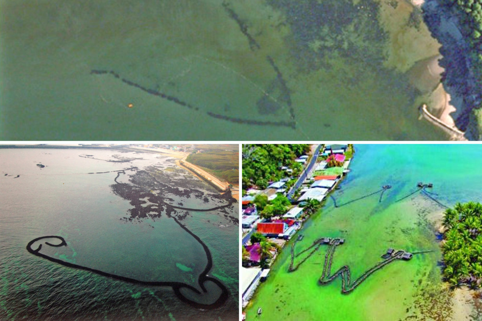 Loko I'a fishponds, story of Hawai'i communities restoring fisheries ...