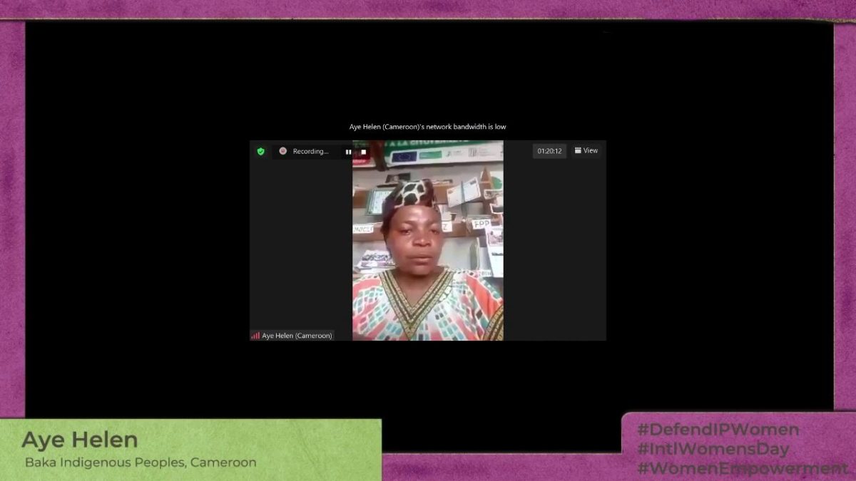 Webinar recap: Indigenous women at risk for defending their lands ...