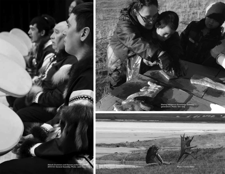 New Inuit report on food sovereignty and self-governance in the Arctic ...