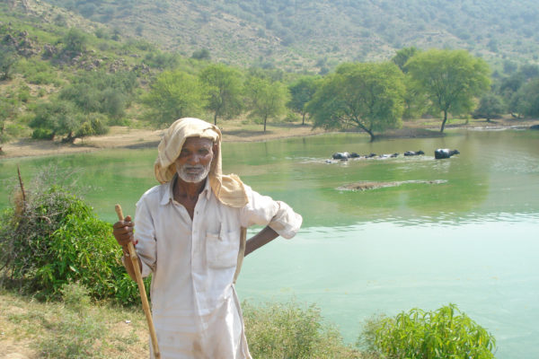 Orans: Sacred community-conserved areas in Rajasthan, India - Updates ...