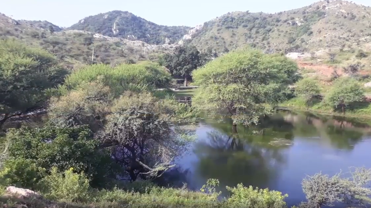 KRAPAVIS wins India Biodiversity Awards 2021: Recognition for community ...