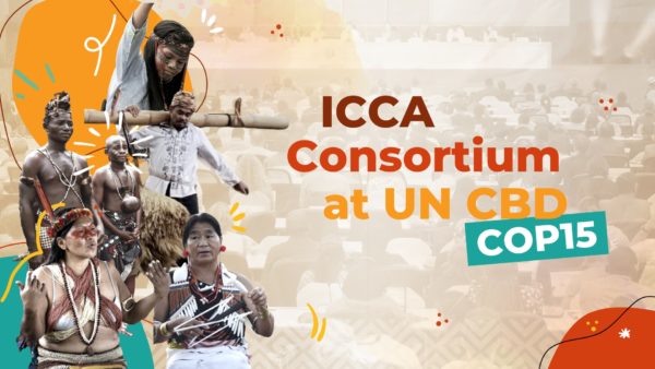 Homepage - ICCA Consortium