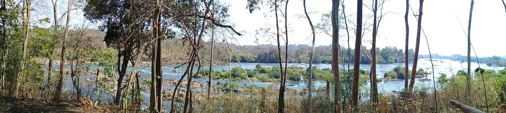 Documenting and mapping governance, management and values of ...