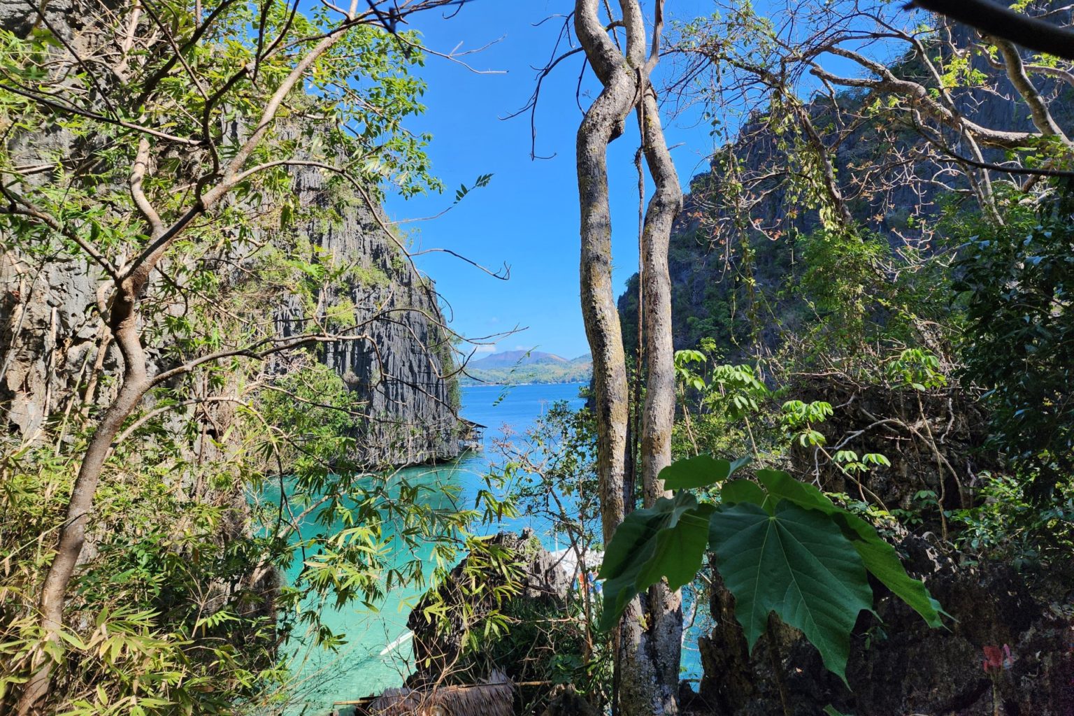 In Pictures: Tagbanwa People make progress in securing the future of ...