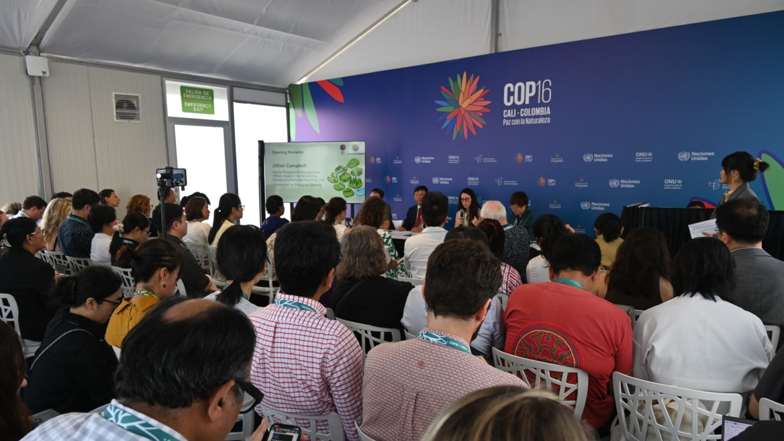 Exploring Voluntary Commitments by Non-state Actors in Advancing OECMs ...